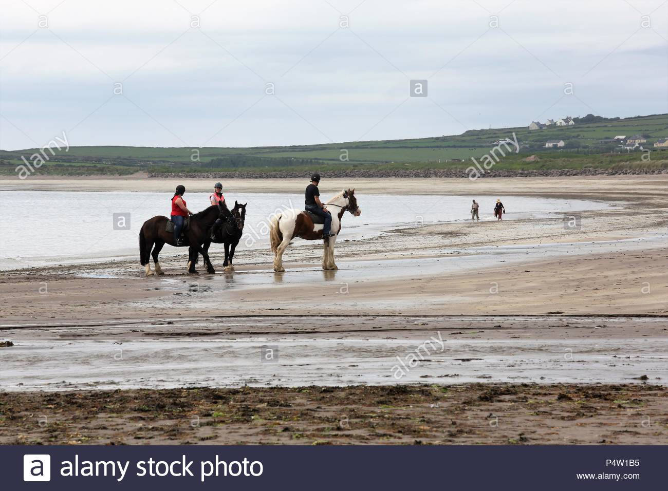 Horse riding lesson on the beach at Ventry County Kerry which is part ...