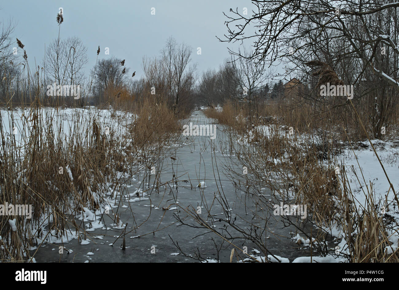 Frozen snow cold hi-res stock photography and images - Alamy