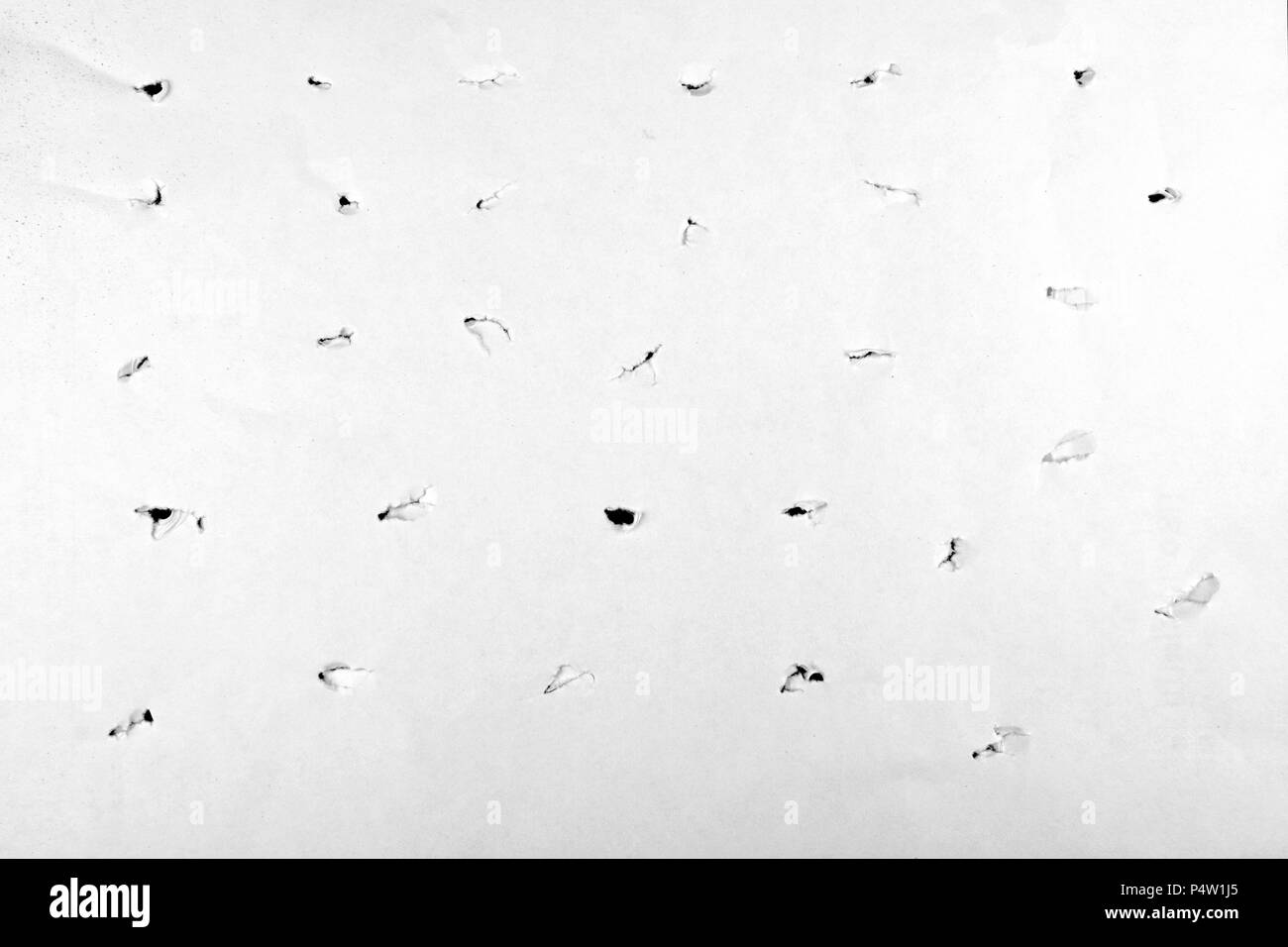 conceptual background image of close up torn and damaged paper Stock ...