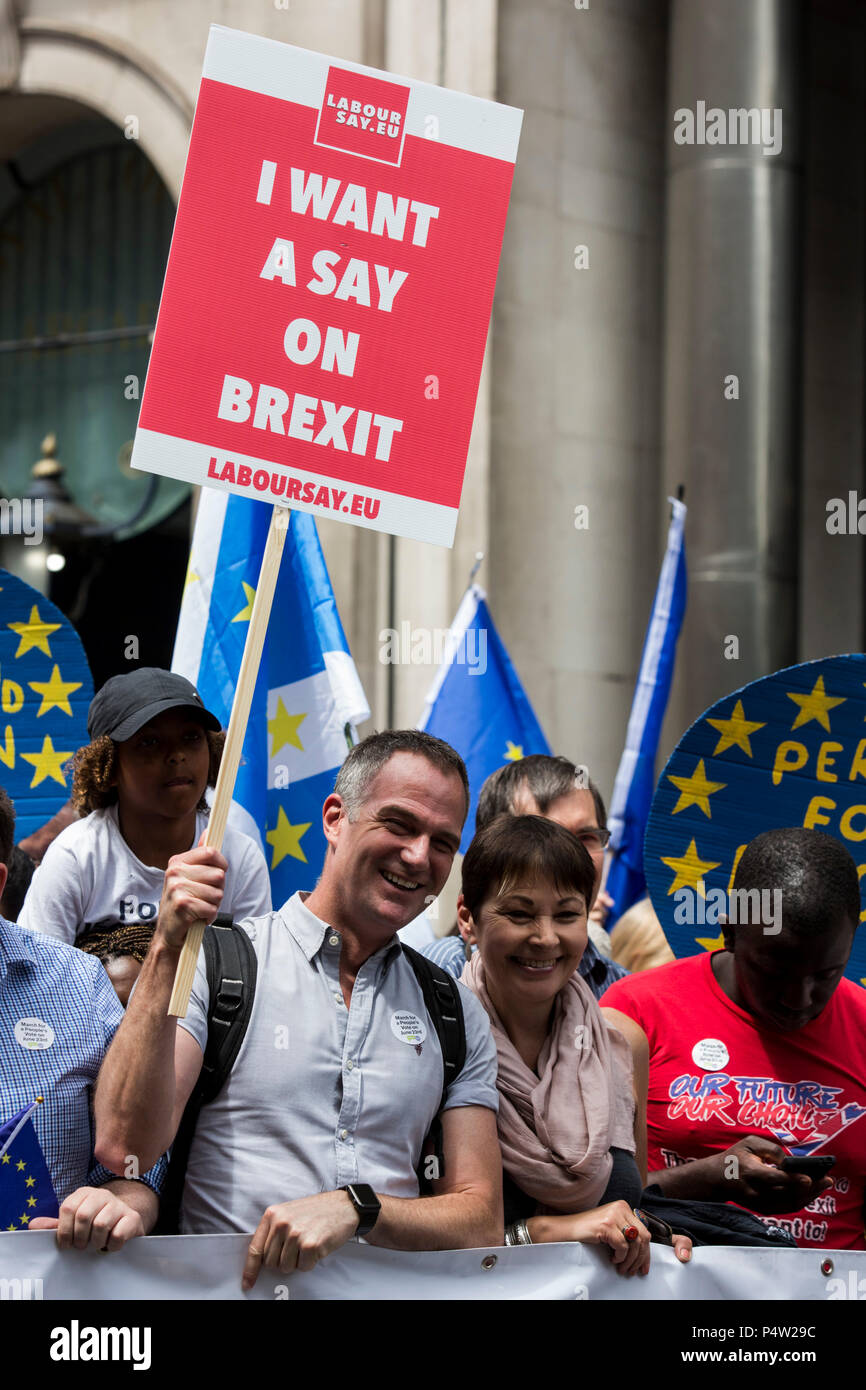 Demonstration at brexit party rally hi-res stock photography and images ...