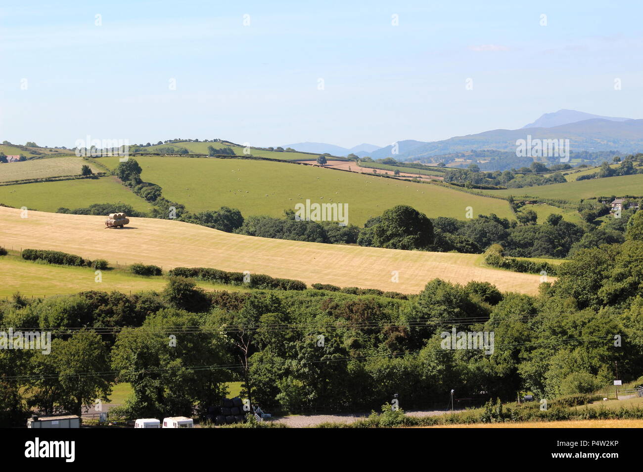 The llangernyw yew hi-res stock photography and images - Alamy