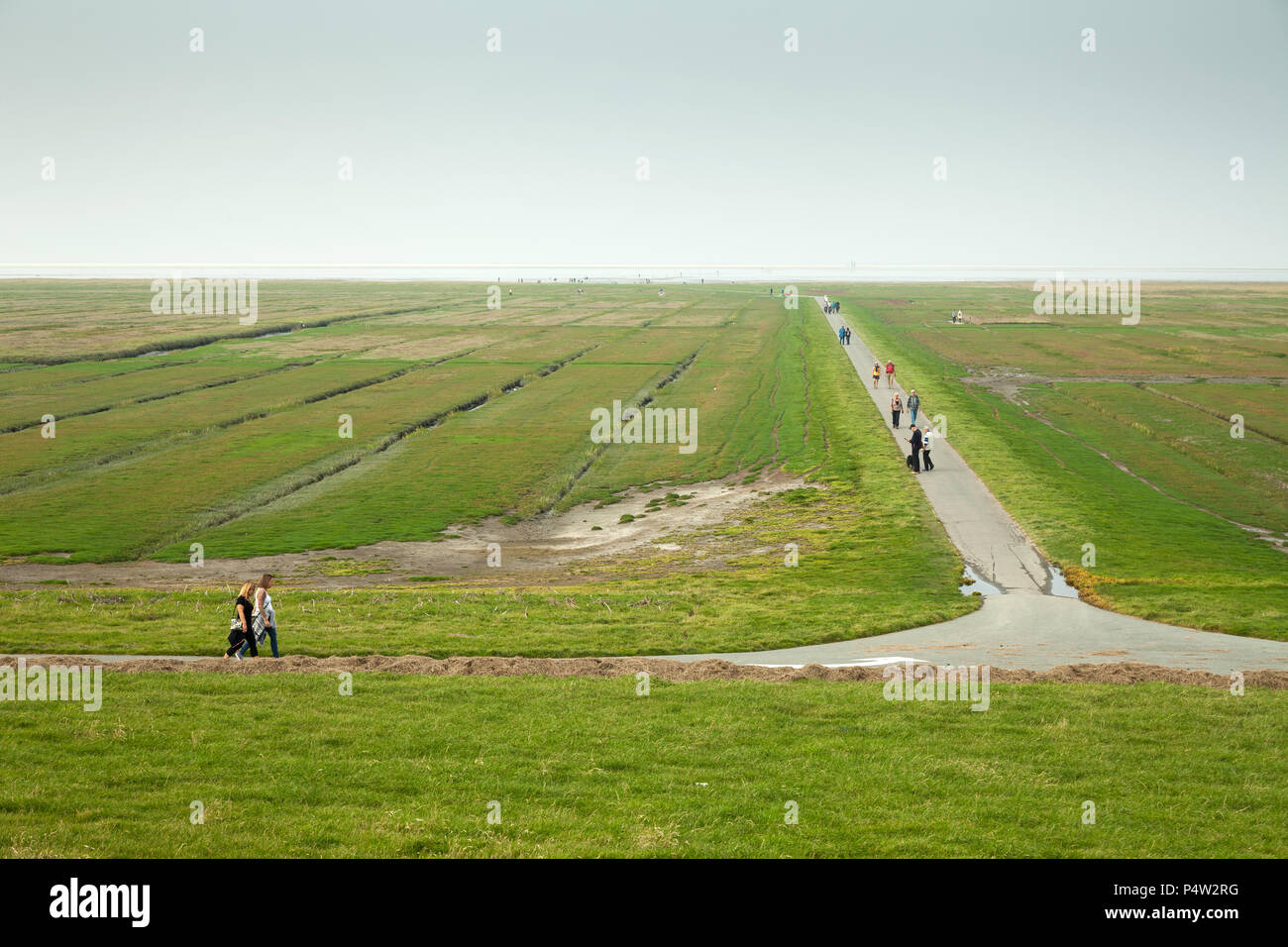 German marshland germany hi-res stock photography and images - Alamy