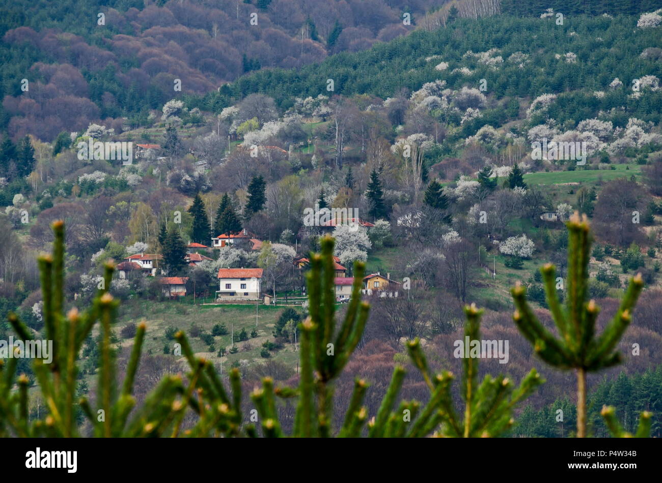 Witosha hi-res stock photography and images - Alamy