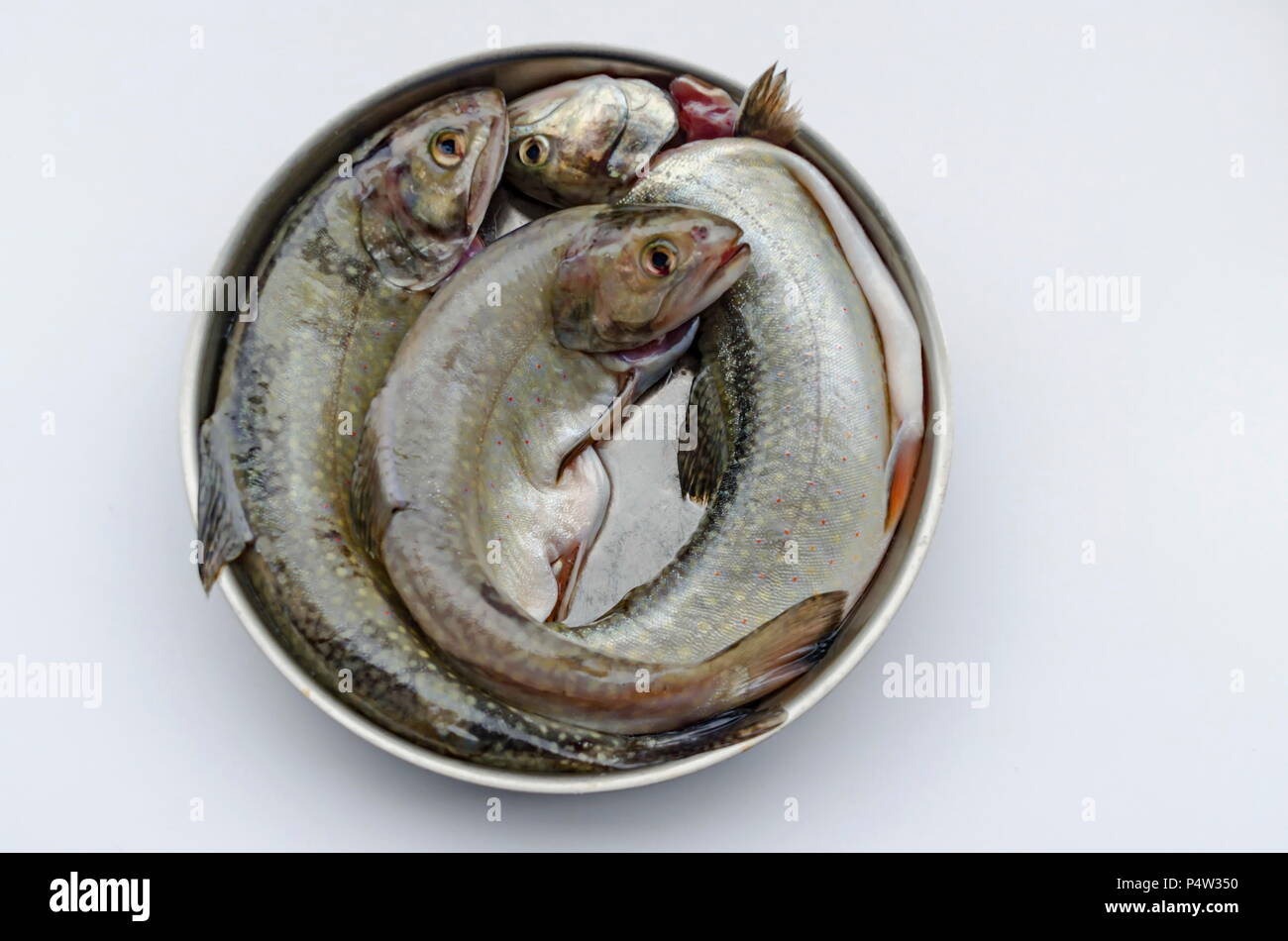 Fresh fish dish hi-res stock photography and images - Alamy