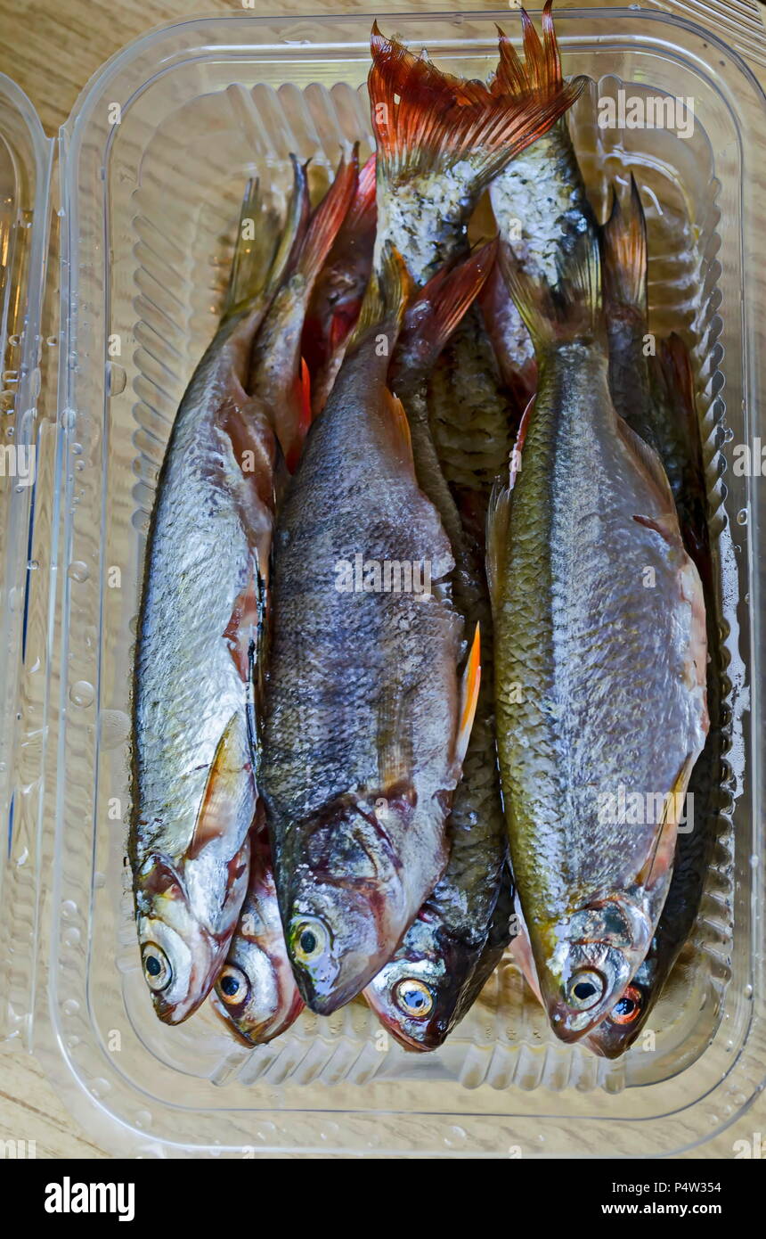 Freeze seafood hi-res stock photography and images - Alamy