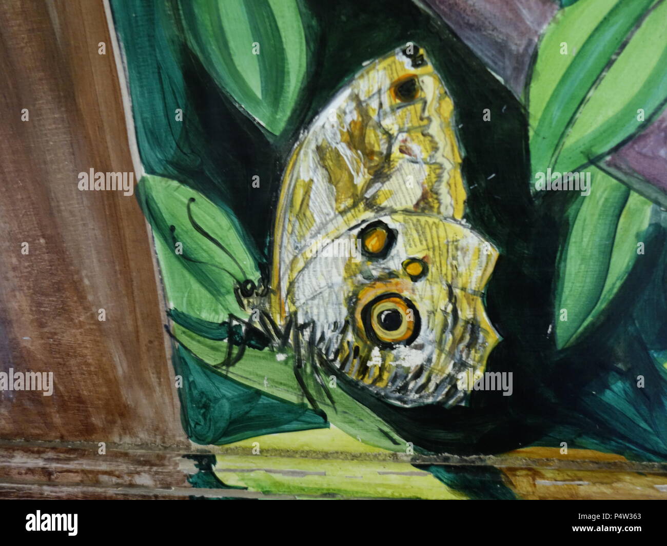 School of magic animals hi-res stock photography and images - Alamy