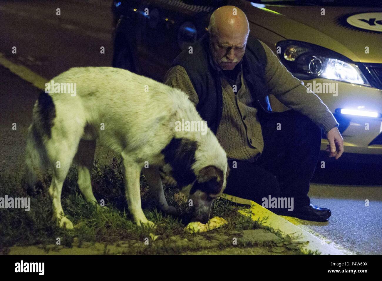 Original Film Title: POSOKI. English Title: DIRECTIONS. Film Director ...