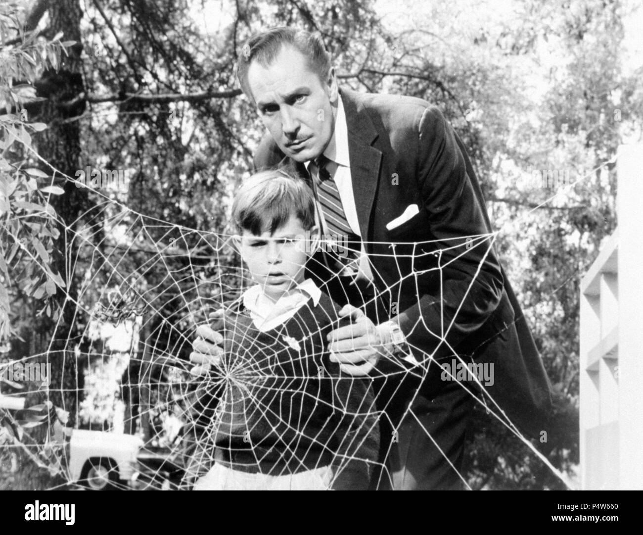 The fly vincent hi-res stock photography and images - Alamy