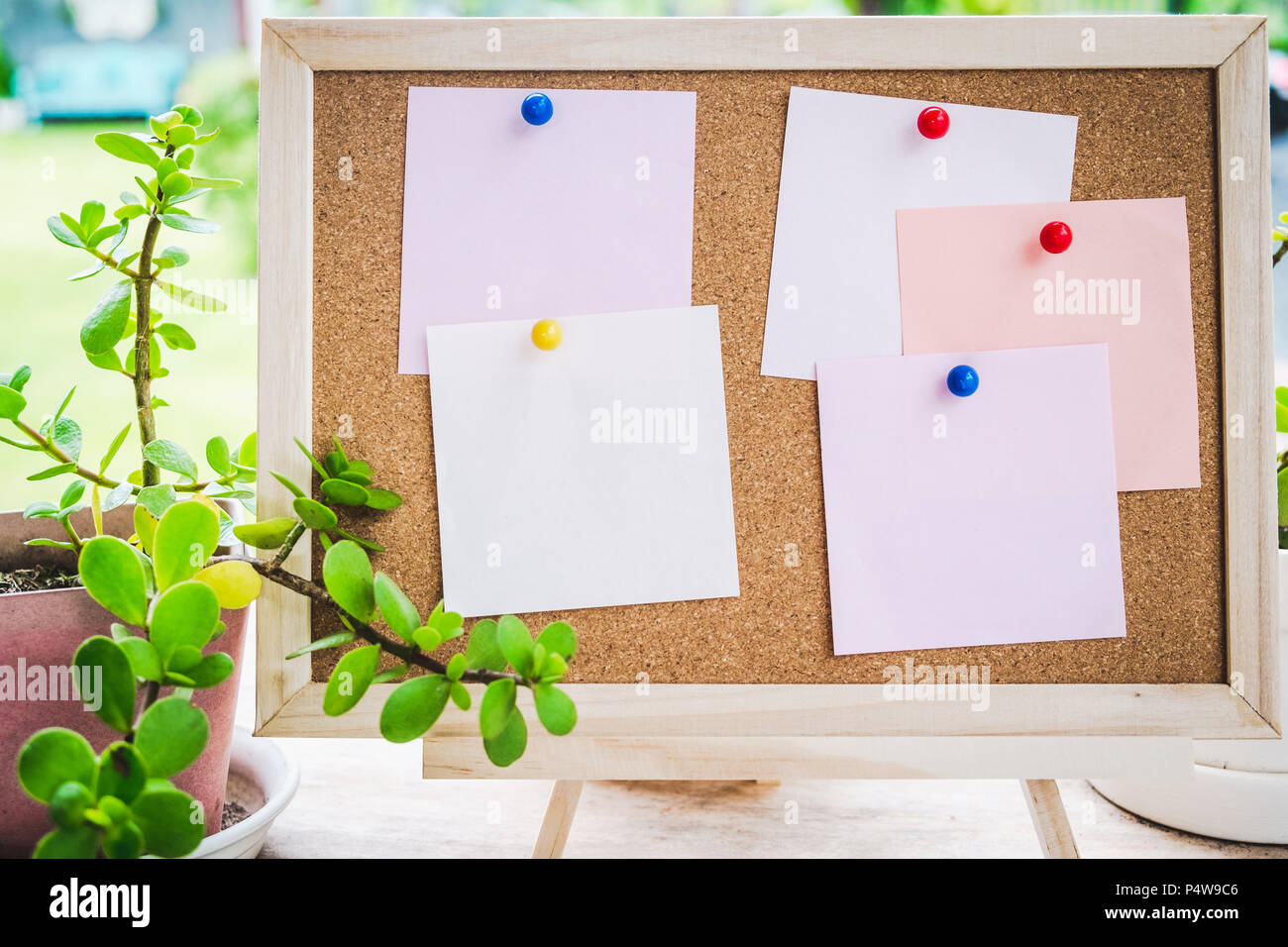 Sticky note on cork board with little tree,garden background,empty ...