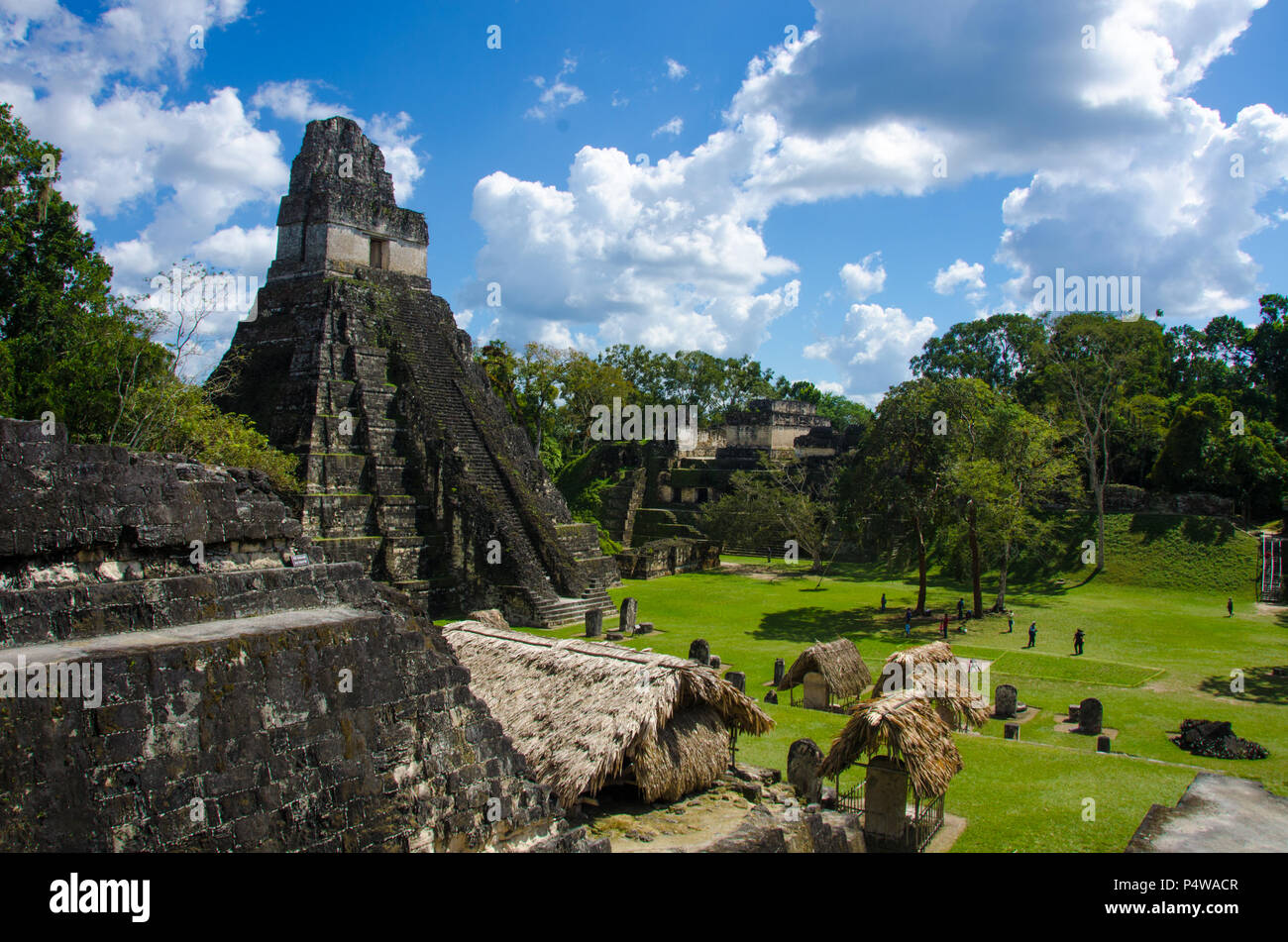 Tikal - Maya Ruins in the rainforest of Guatemala Stock Photo - Alamy