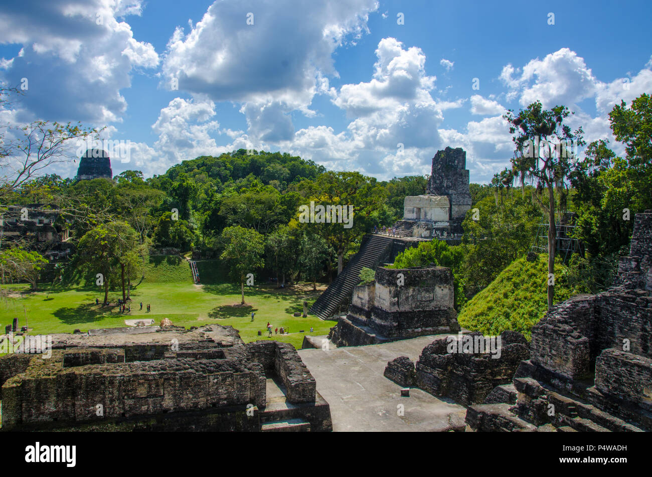 Tikal - Maya Ruins in the rainforest of Guatemala Stock Photo - Alamy