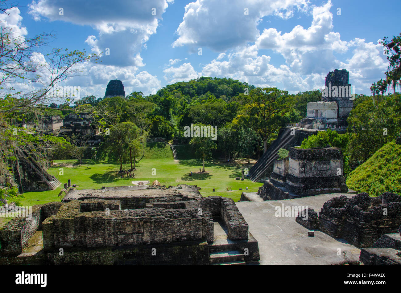 Tikal - Maya Ruins in the rainforest of Guatemala Stock Photo - Alamy