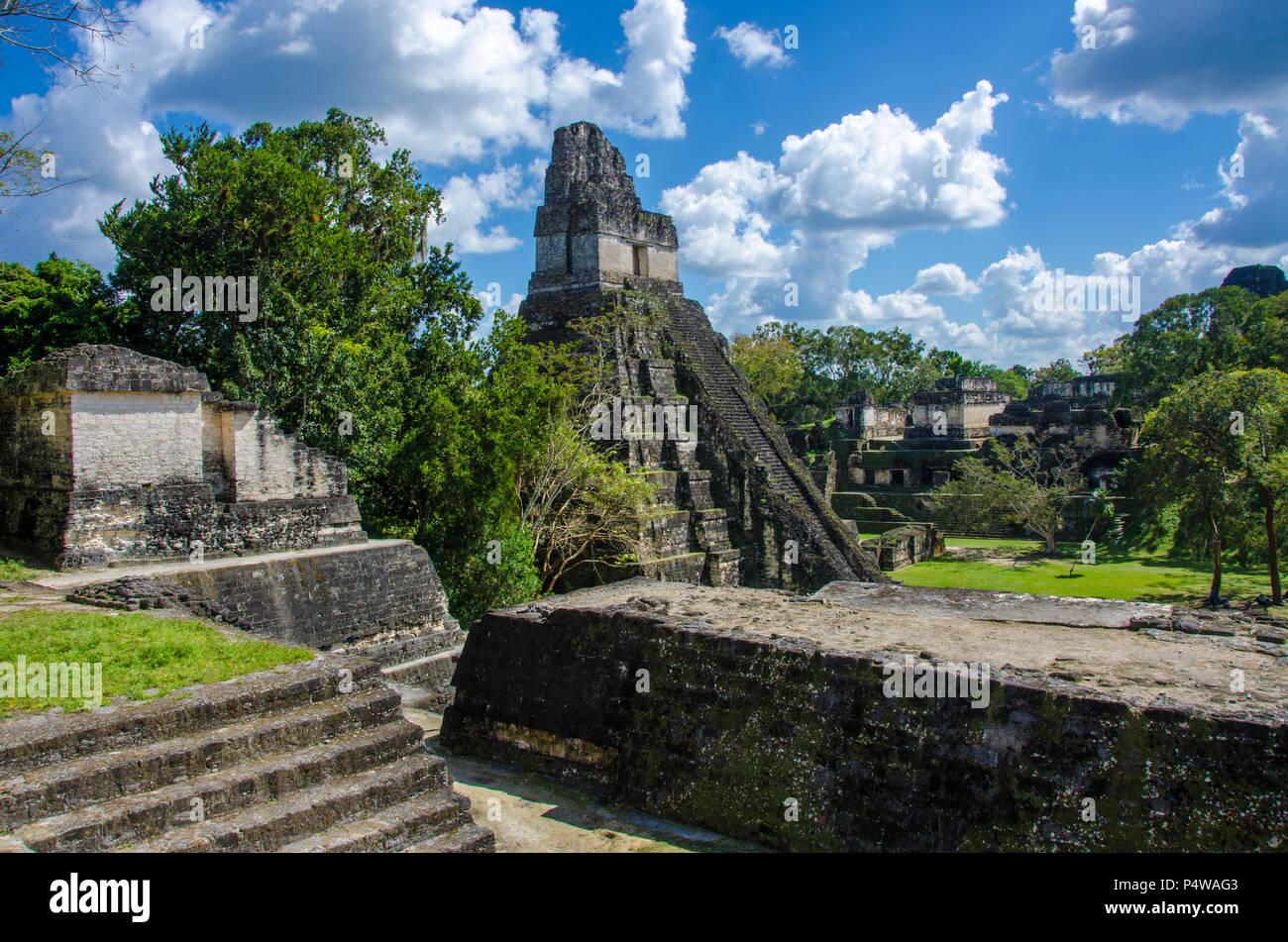 Tikal - Maya Ruins in the rainforest of Guatemala Stock Photo - Alamy