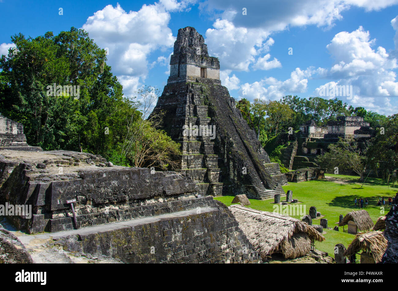Tikal - Maya Ruins in the rainforest of Guatemala Stock Photo - Alamy