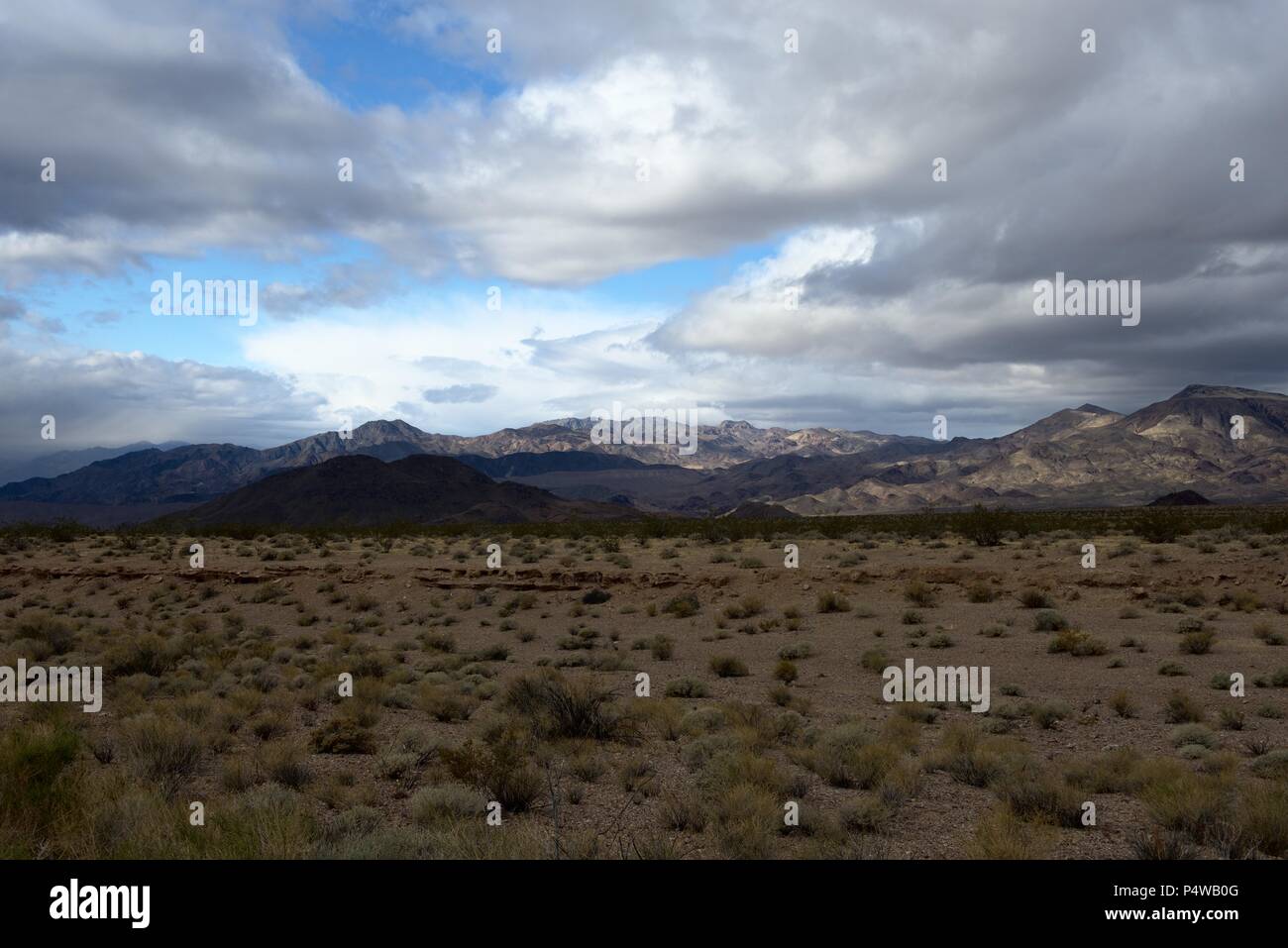 Rain in the death valley hi-res stock photography and images - Alamy