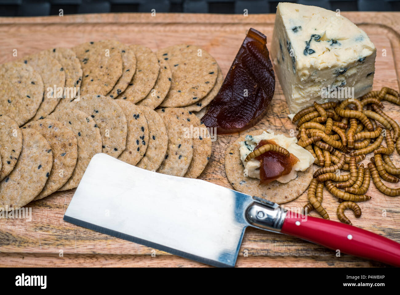 Insects cheese hi-res stock photography and images - Alamy