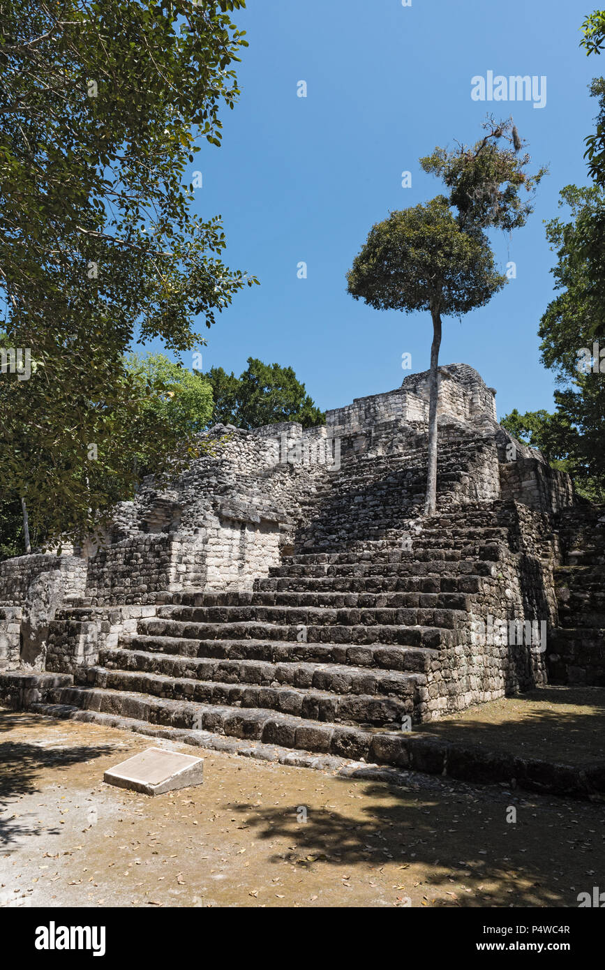 The ruins of the ancient Mayan city of calakmul, campeche, Mexico Stock ...