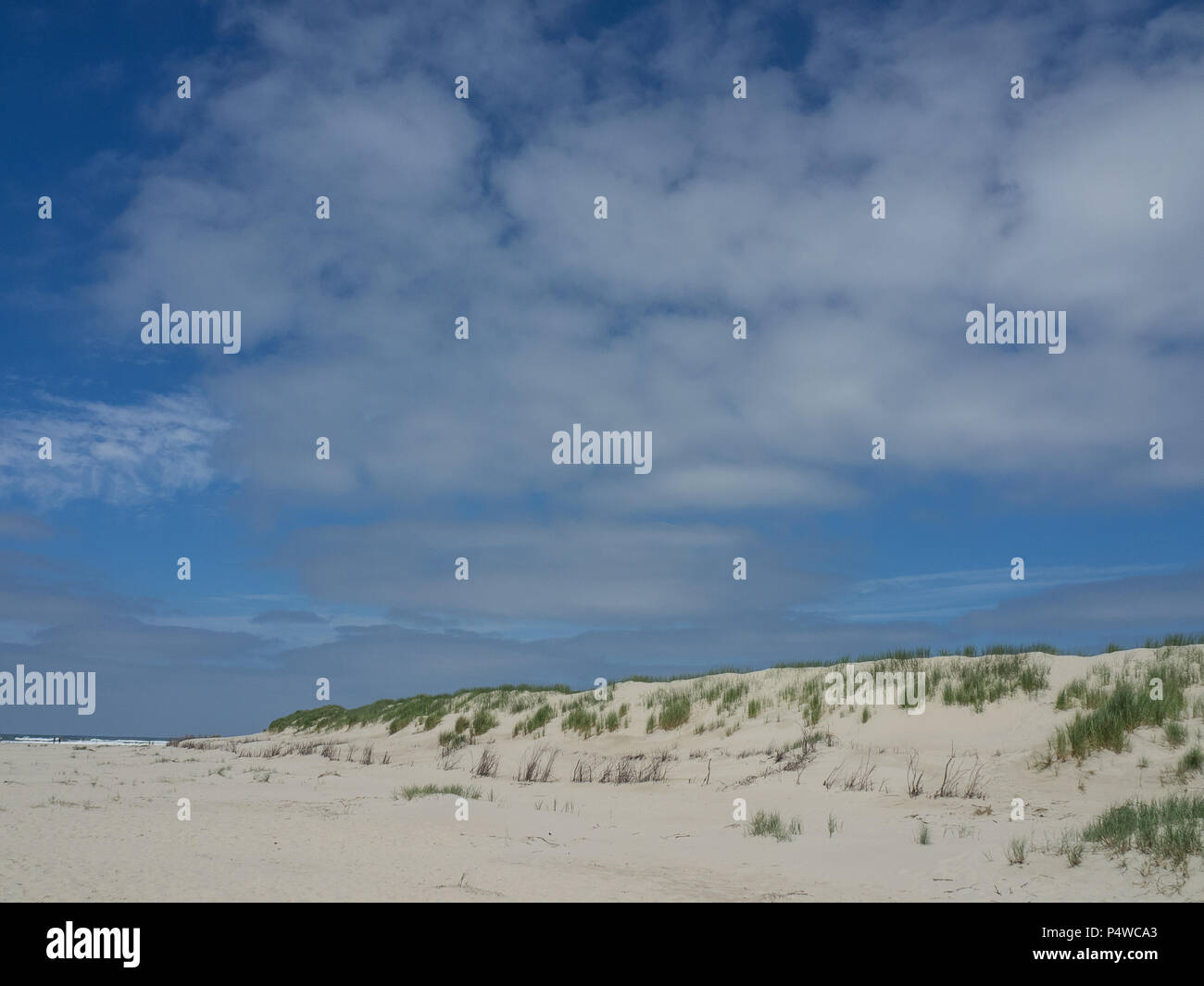 the North sea in germany Stock Photo - Alamy