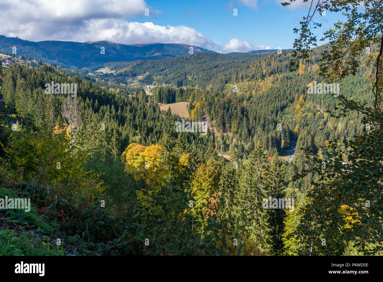 Summer scenery titisee hi-res stock photography and images - Alamy