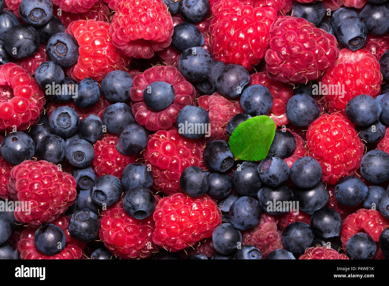 Raspberry and blueberry. Fresh organic berries macro. Fruit background ...