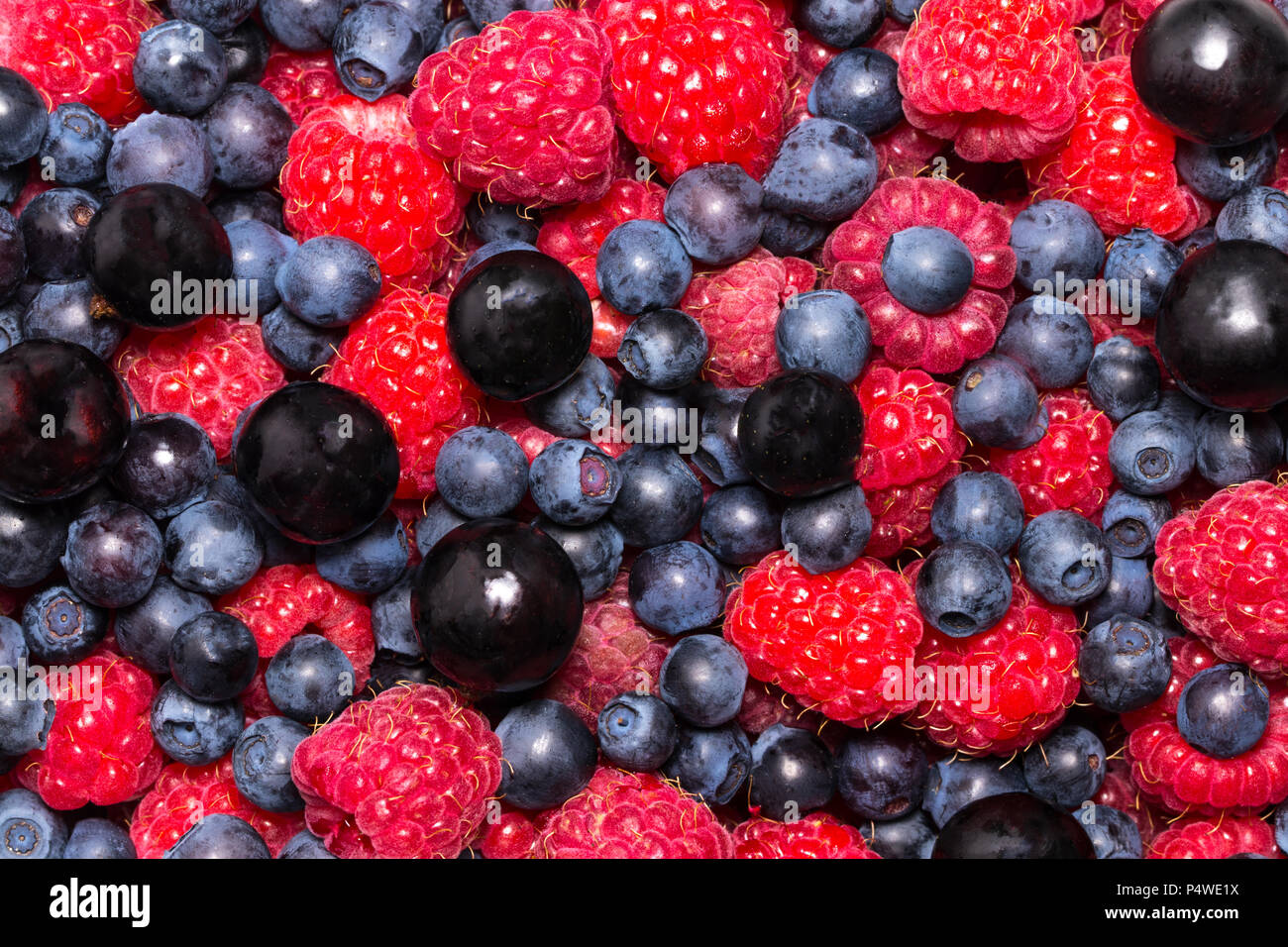 Raspberry and blueberry. Fresh organic berries macro. Fruit background ...