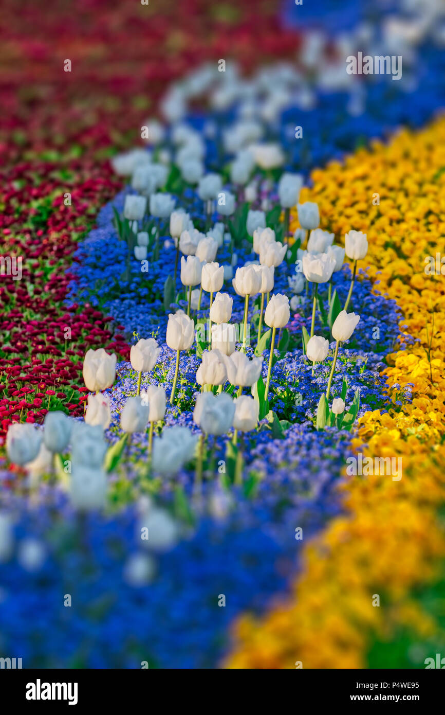 Curved flower beds hi-res stock photography and images - Alamy