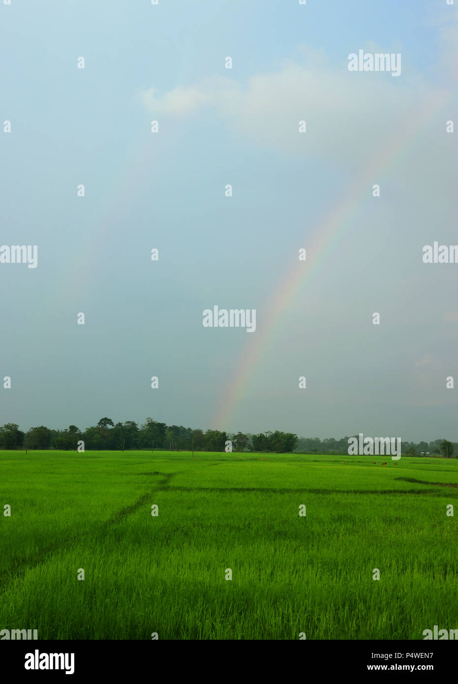 Pottery culture of majuli hi-res stock photography and images - Alamy