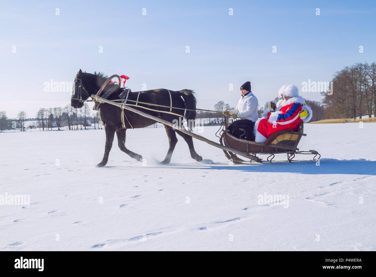 Horses pulling sled hi-res stock photography and images - Alamy