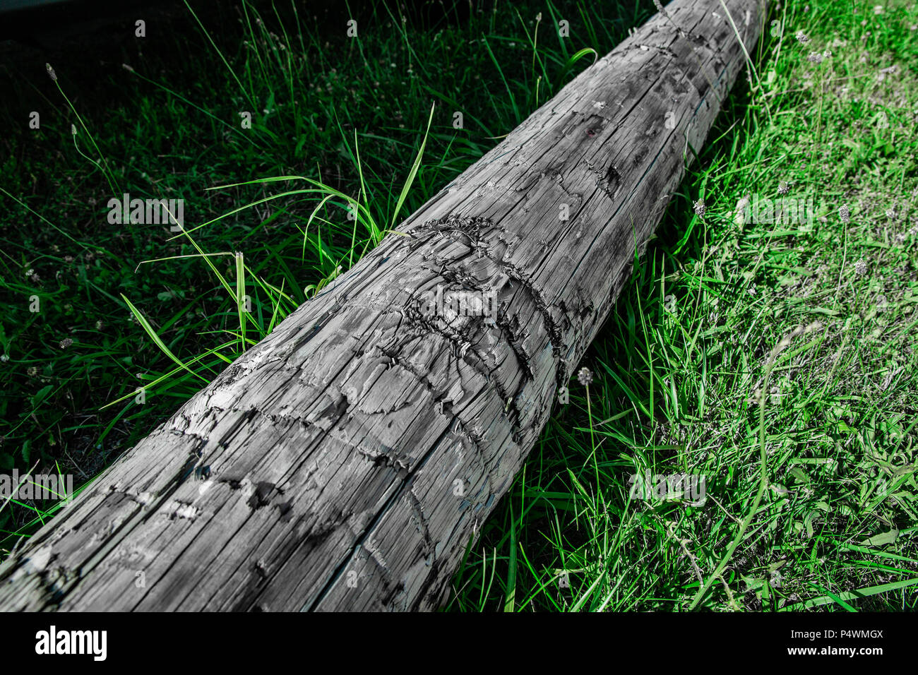 Black white pole grass road hi-res stock photography and images - Alamy