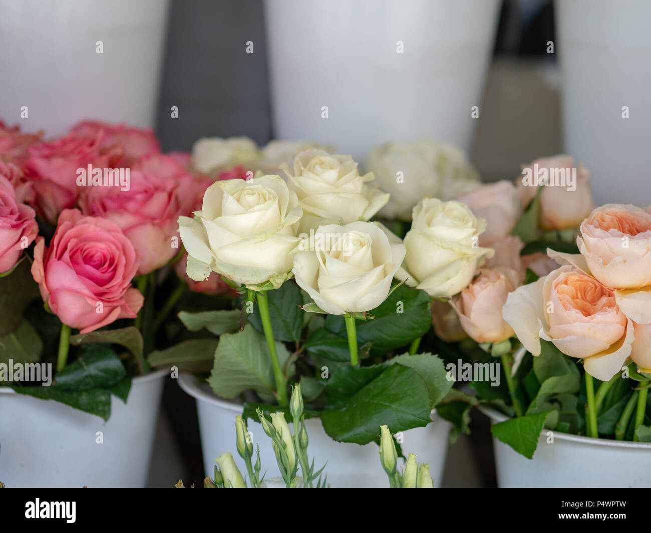 Red, white, pink bouquets of roses sitting outside storefront of flower ...