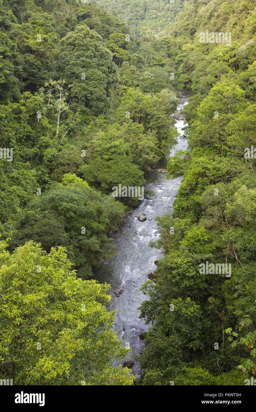Bosque De Proteccion Alto Mayo High Resolution Stock Photography and ...