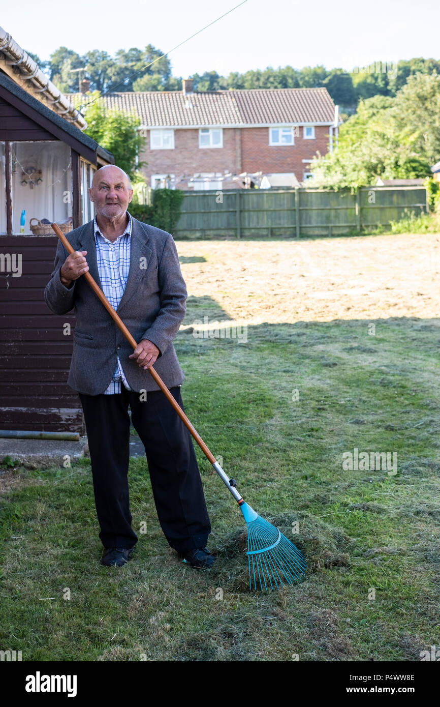 Old man raking up cut grass after the lawn has been mowed Stock Photo ...