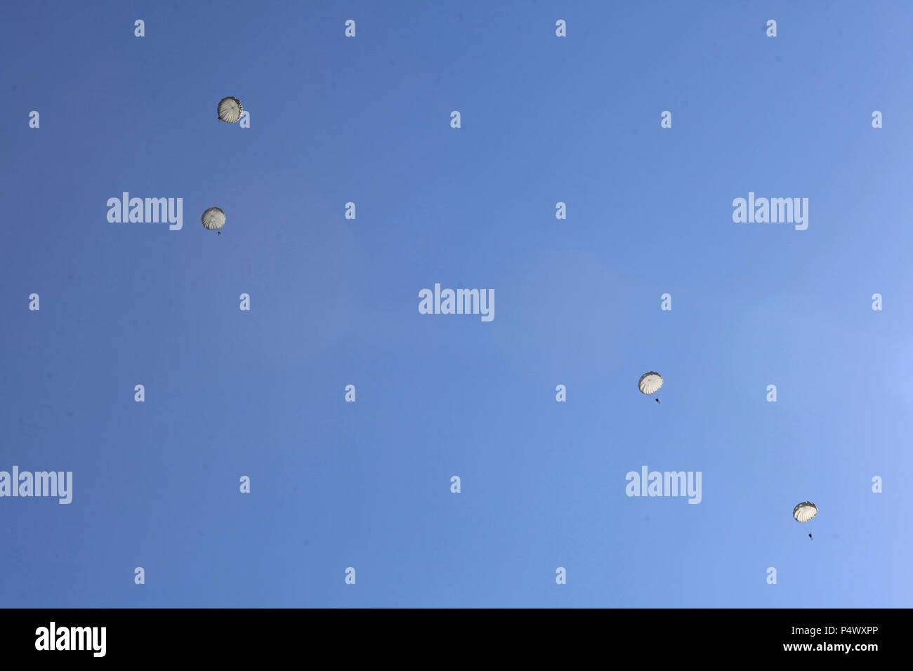 5th ranger training battalion 5th rtb hi-res stock photography and ...