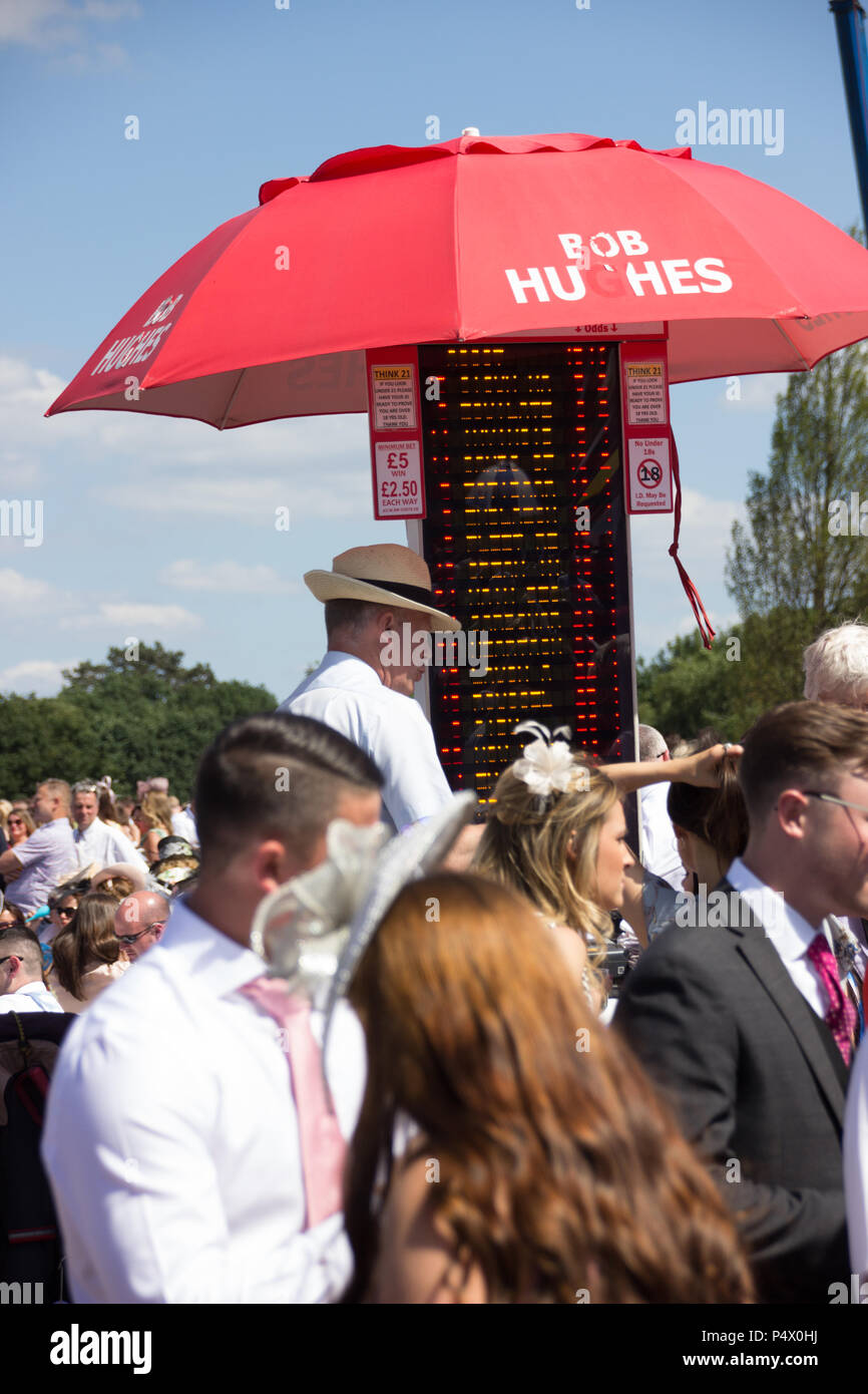 Bookies stand hi-res stock photography and images - Alamy