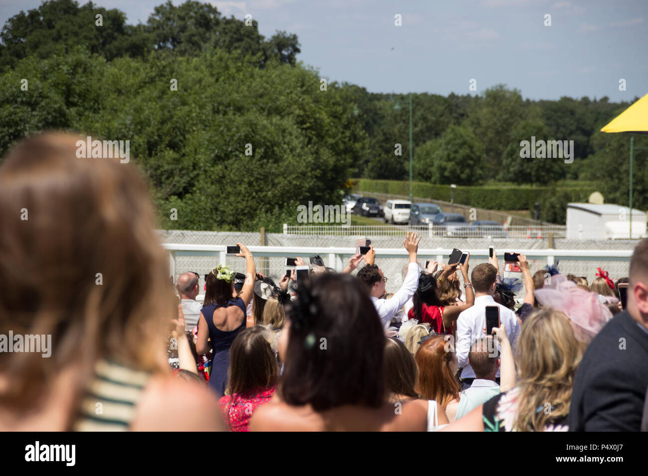 Crowds standing watching the races as Royal Ascot in Windsor enclosure ...
