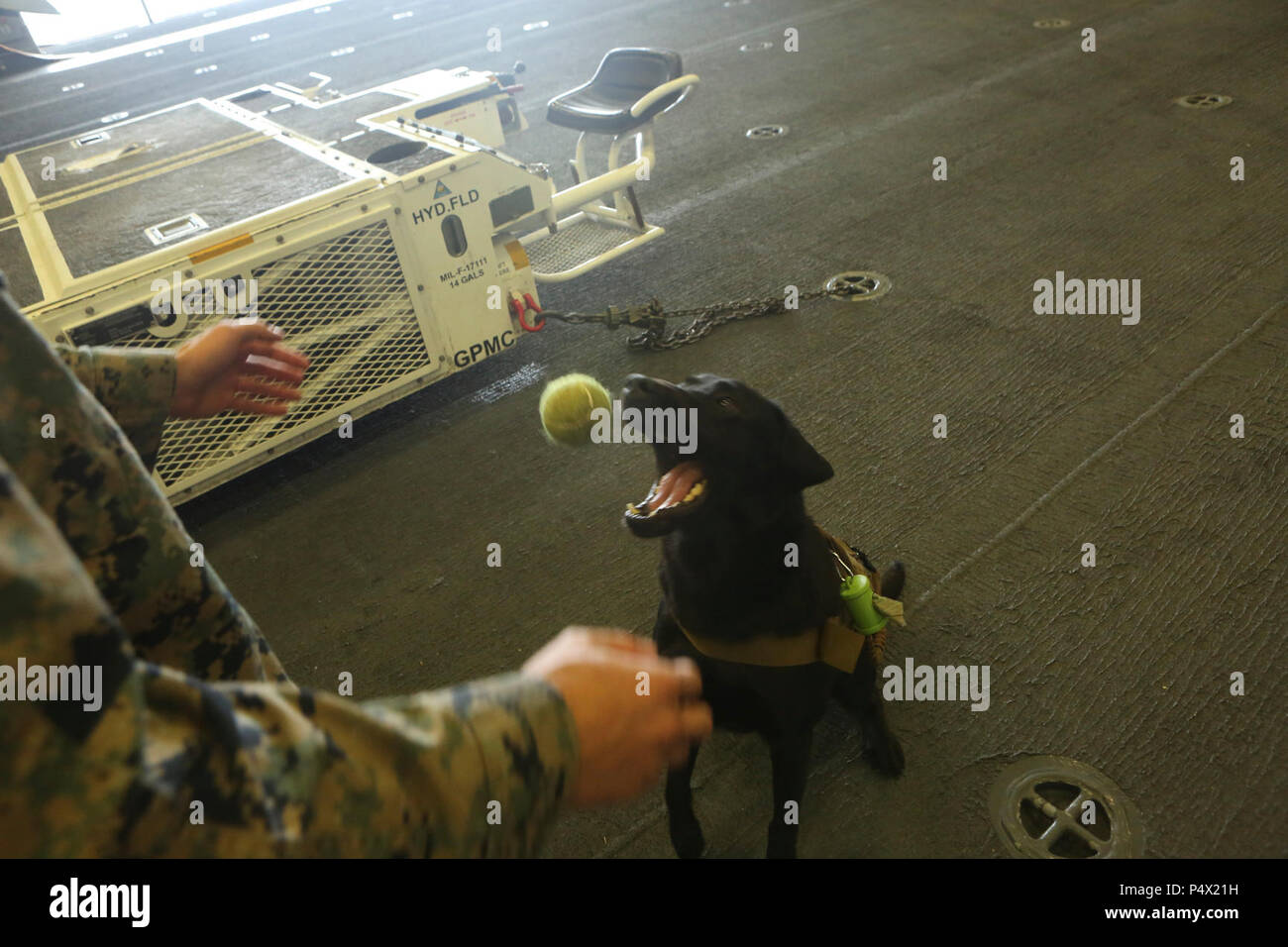 Tuxx hi-res stock photography and images - Alamy