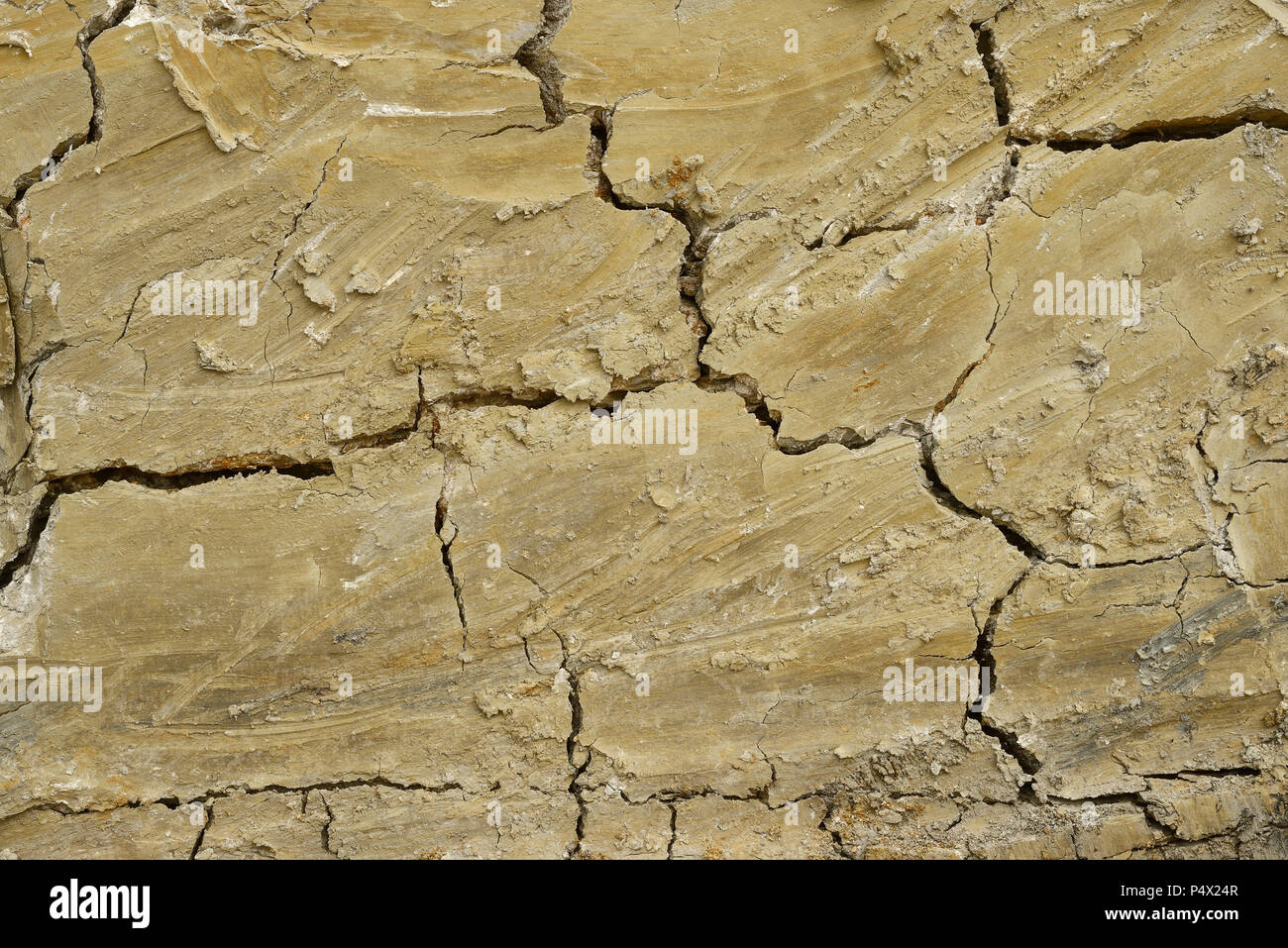 Vertical cross section of Clay soil Stock Photo - Alamy