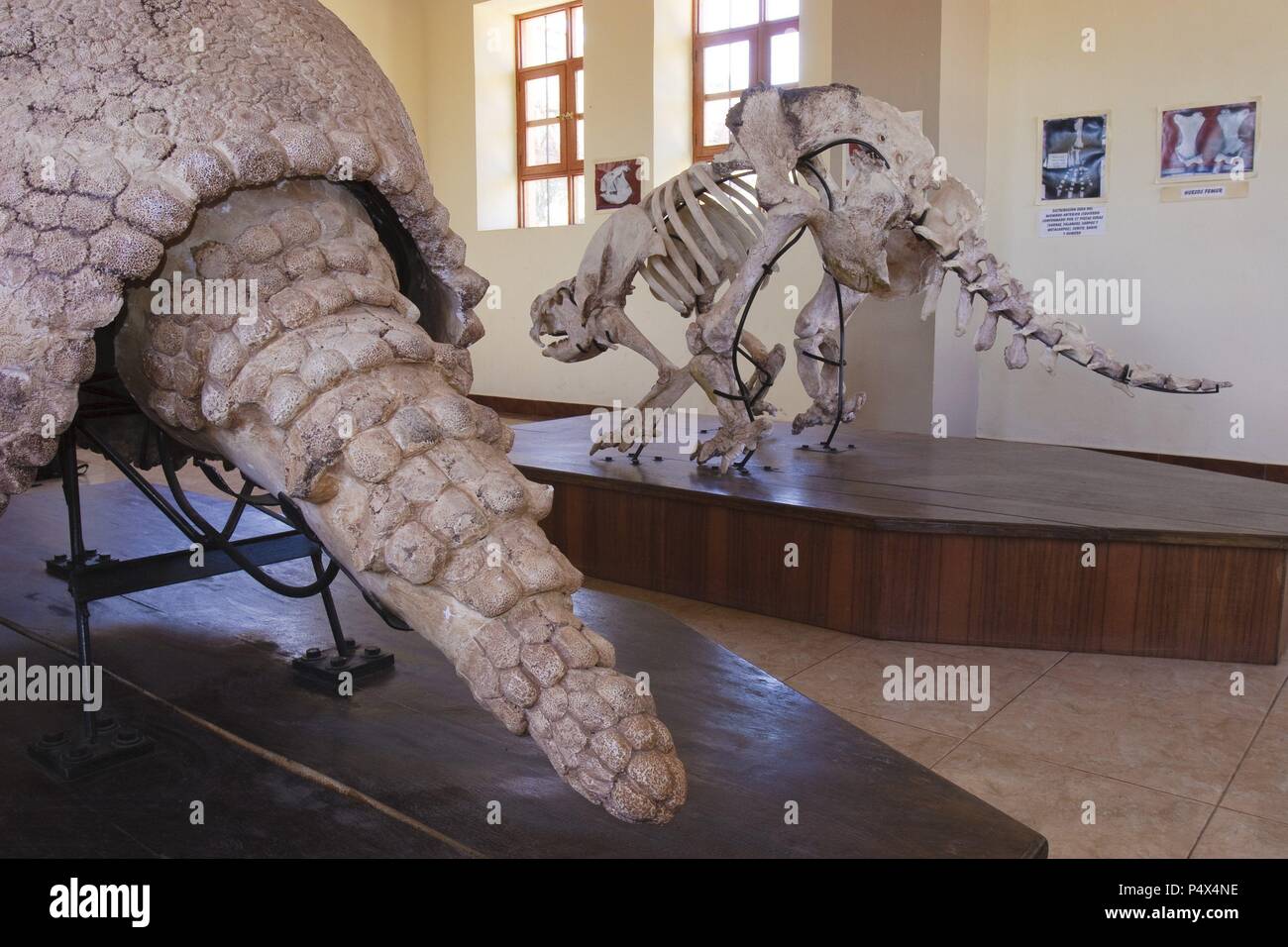 Pikillacta peru hi-res stock photography and images - Alamy