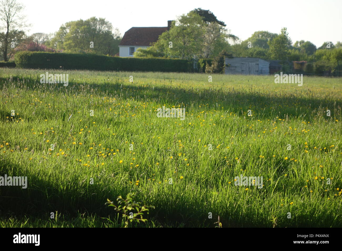 house in Shellow Bowells, Essex, old farmhouse, with grassland or ...