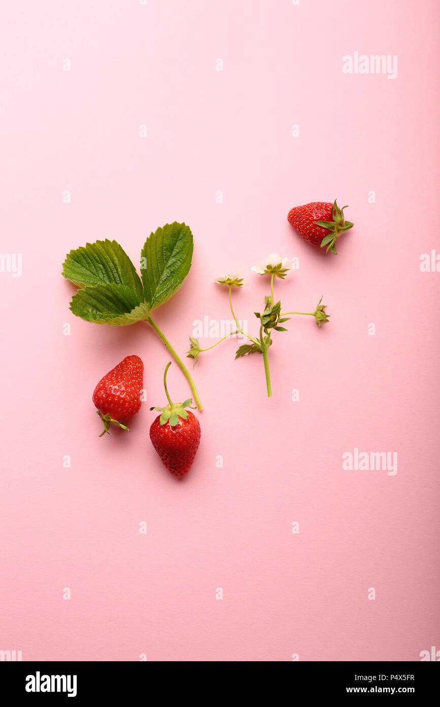 Season strawberries set, fruits Stock Photo - Alamy