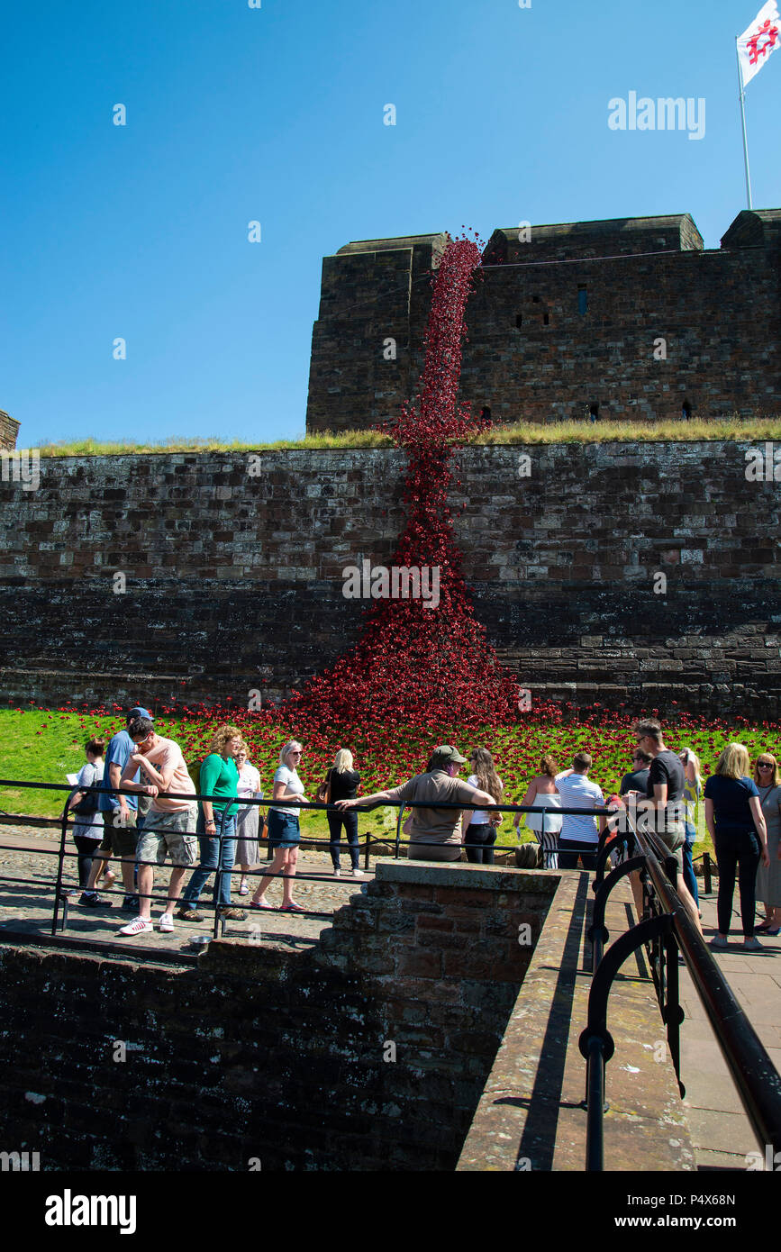 weeping windows poppies art display at Carlisle castle by paul cummins ...
