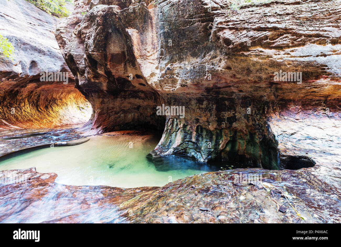 Narrows in slot canyon, Zion National Park, Utah, USA Stock Photo - Alamy
