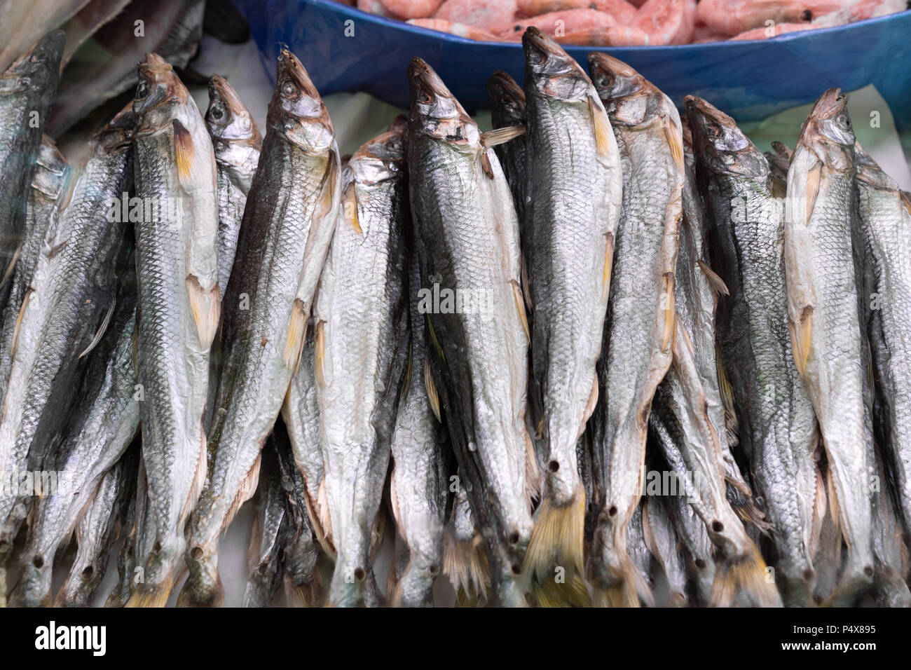 Close-up view of dried salted smelt fish on counter at fish market ...