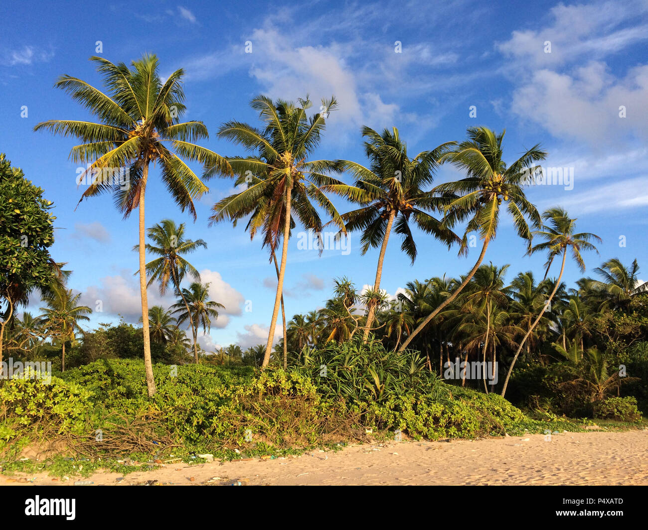 Balapitiya indian ocean hi-res stock photography and images - Alamy