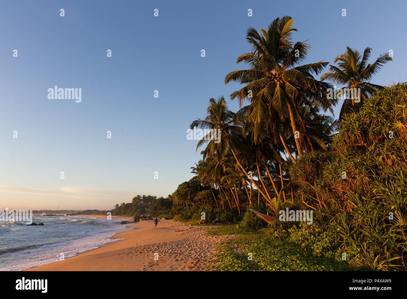 Balapitiya indian ocean hi-res stock photography and images - Alamy