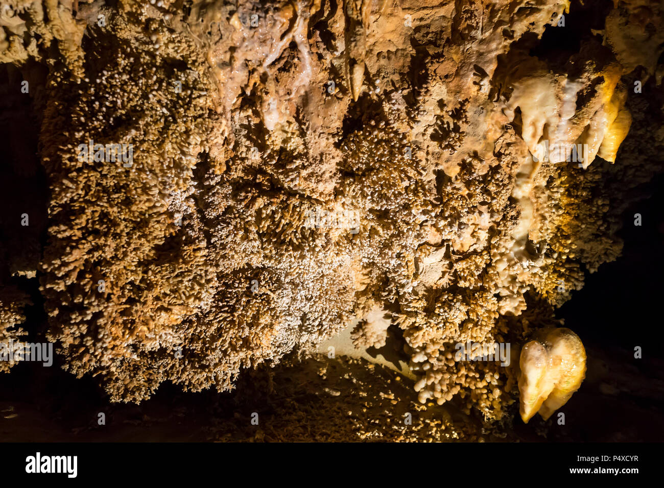 Venetsa Cave in Bulgaria. Beautiful colorful and illuminated cave full ...