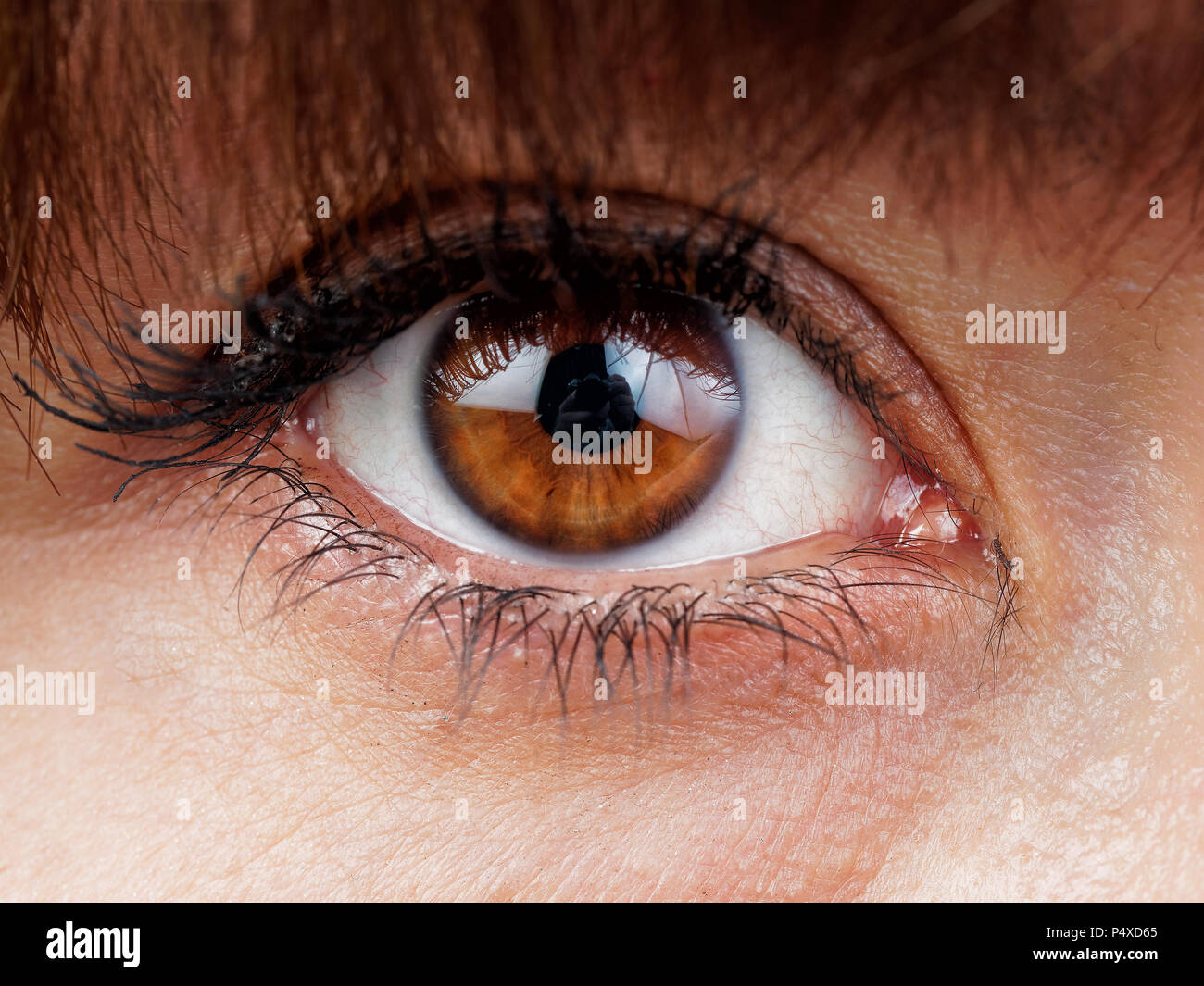 Macro human brown eye caucasian hi-res stock photography and images - Alamy