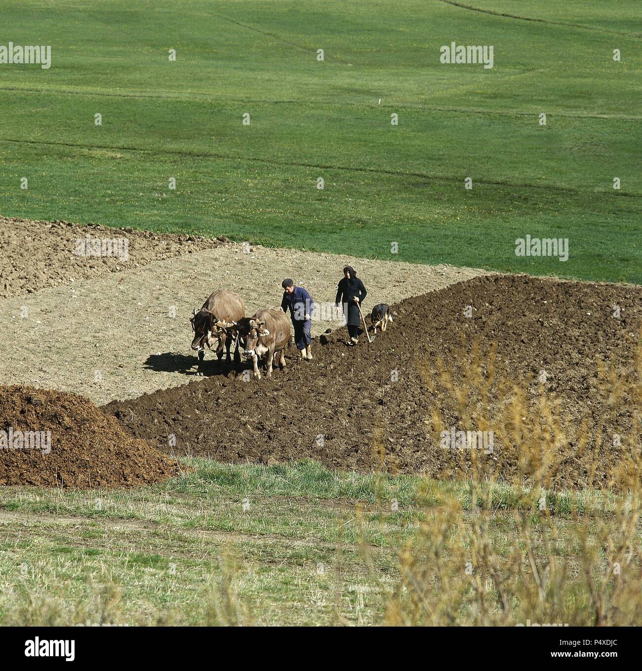 Smallholder farmers hi-res stock photography and images - Alamy