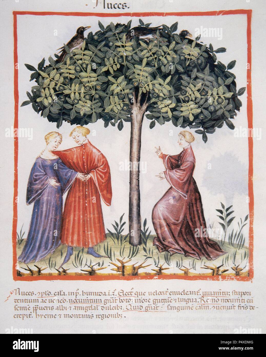 Tacuinum Sanitatis. Medieval Health Handbook, dated before 1400, based ...