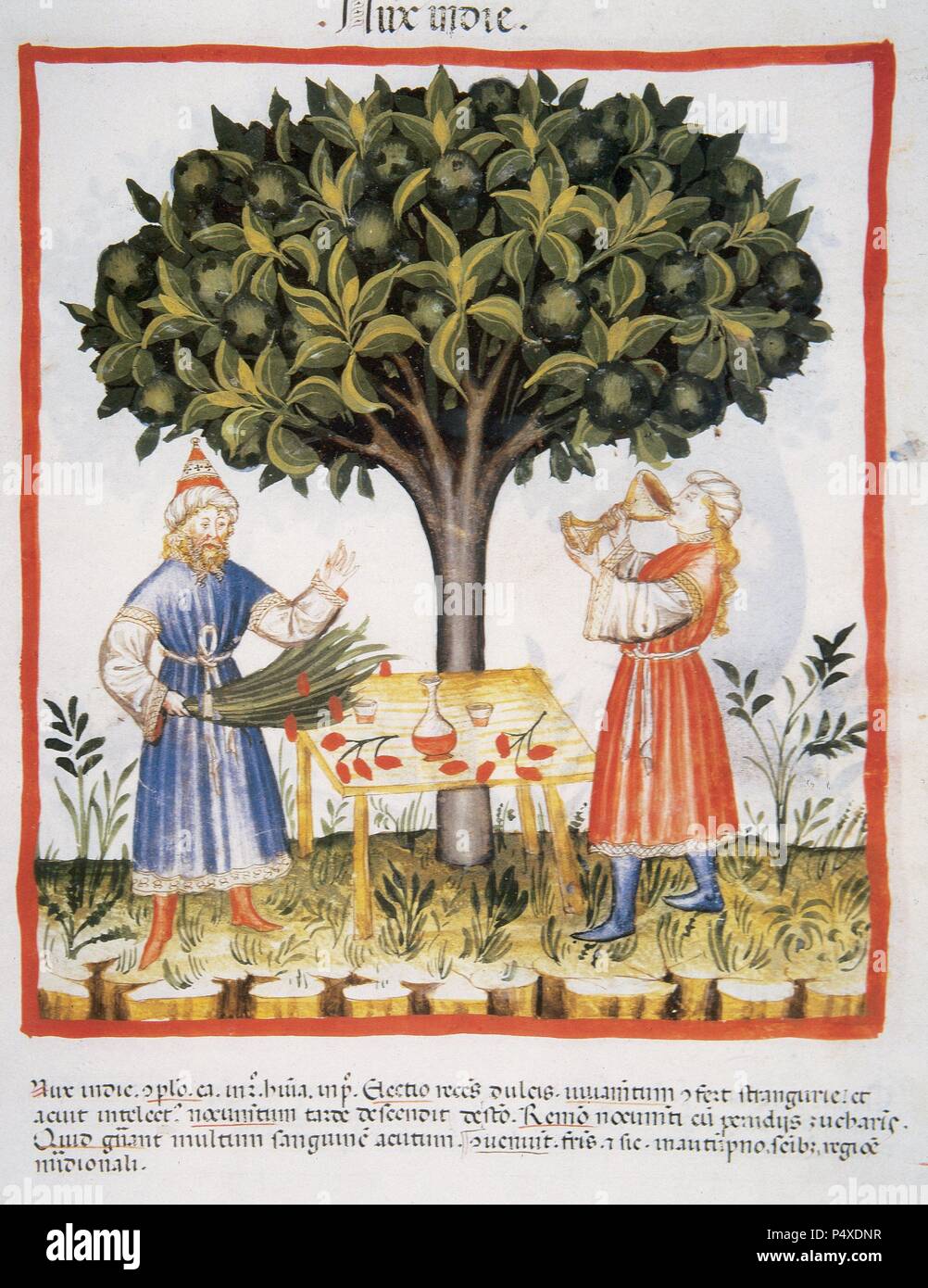 Tacuinum Sanitatis. Medieval Health Handbook, dated before 1400, based ...